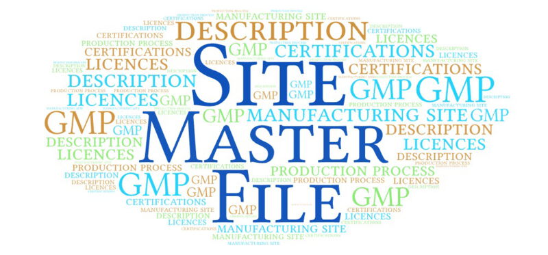 Site Master File — definition and meaning