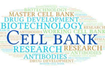 Glossary of pharmaceutical and GMP terms with explanations